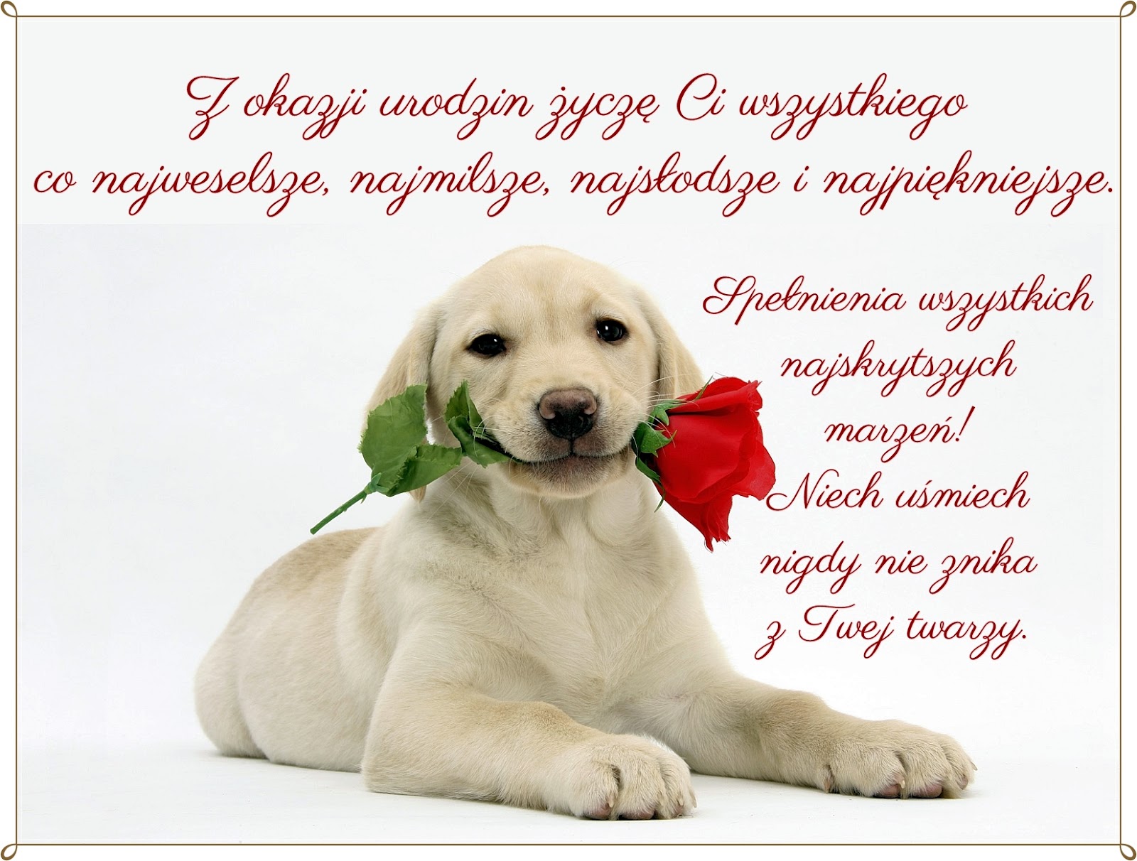 Social Trends : najserdeczniejsze-zyczenia-urodzinowe-dla-mamy-od ... Social Trends : najserdeczniejsze-zyczenia-urodzinowe-dla-mamy-od ...